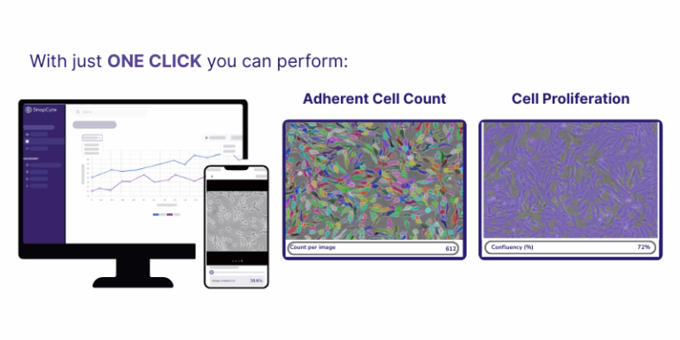 Cell Culture Guide: Techniques, Types & Best Practices