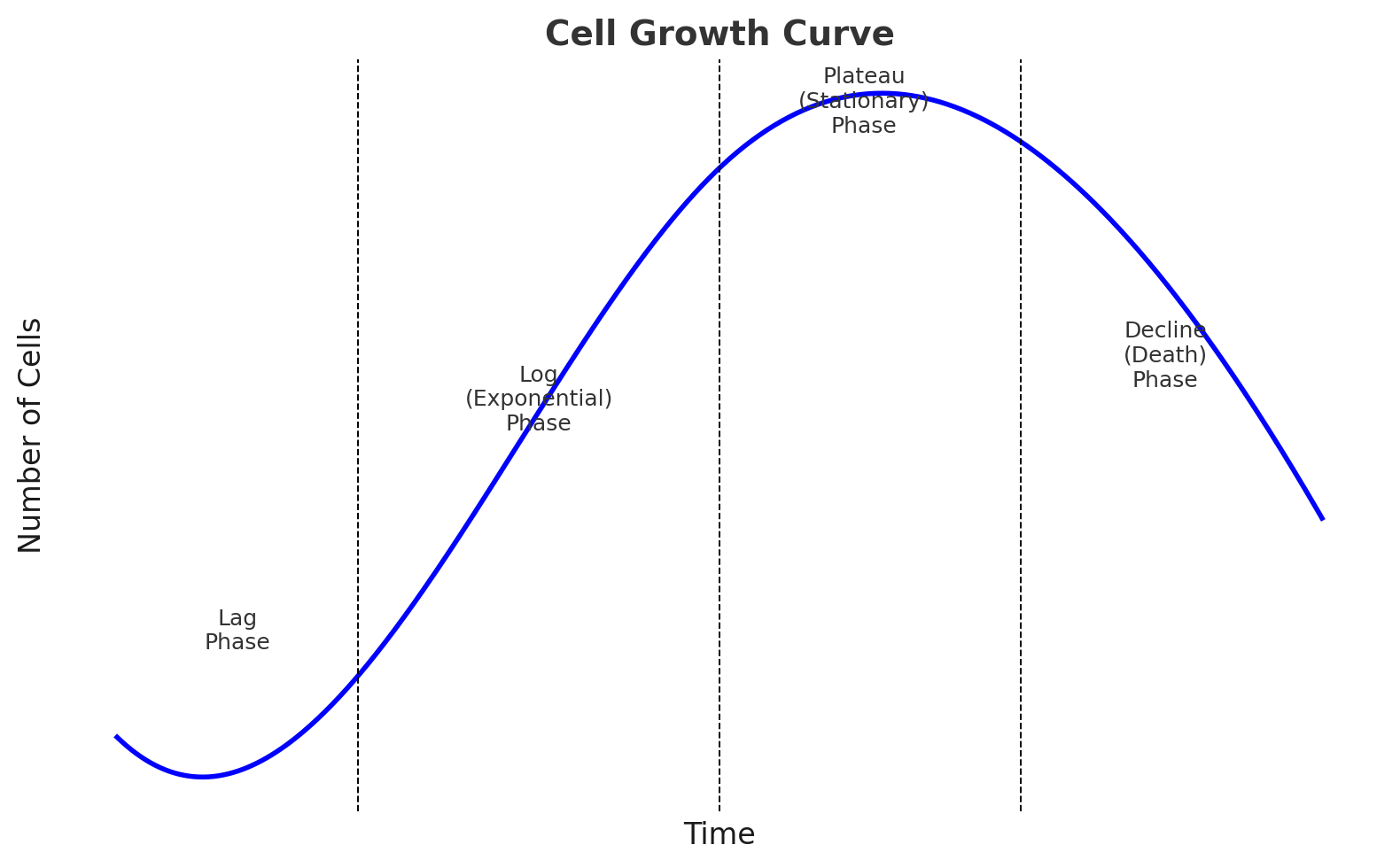 Everything you need to know about Cell Culture - SnapCyte