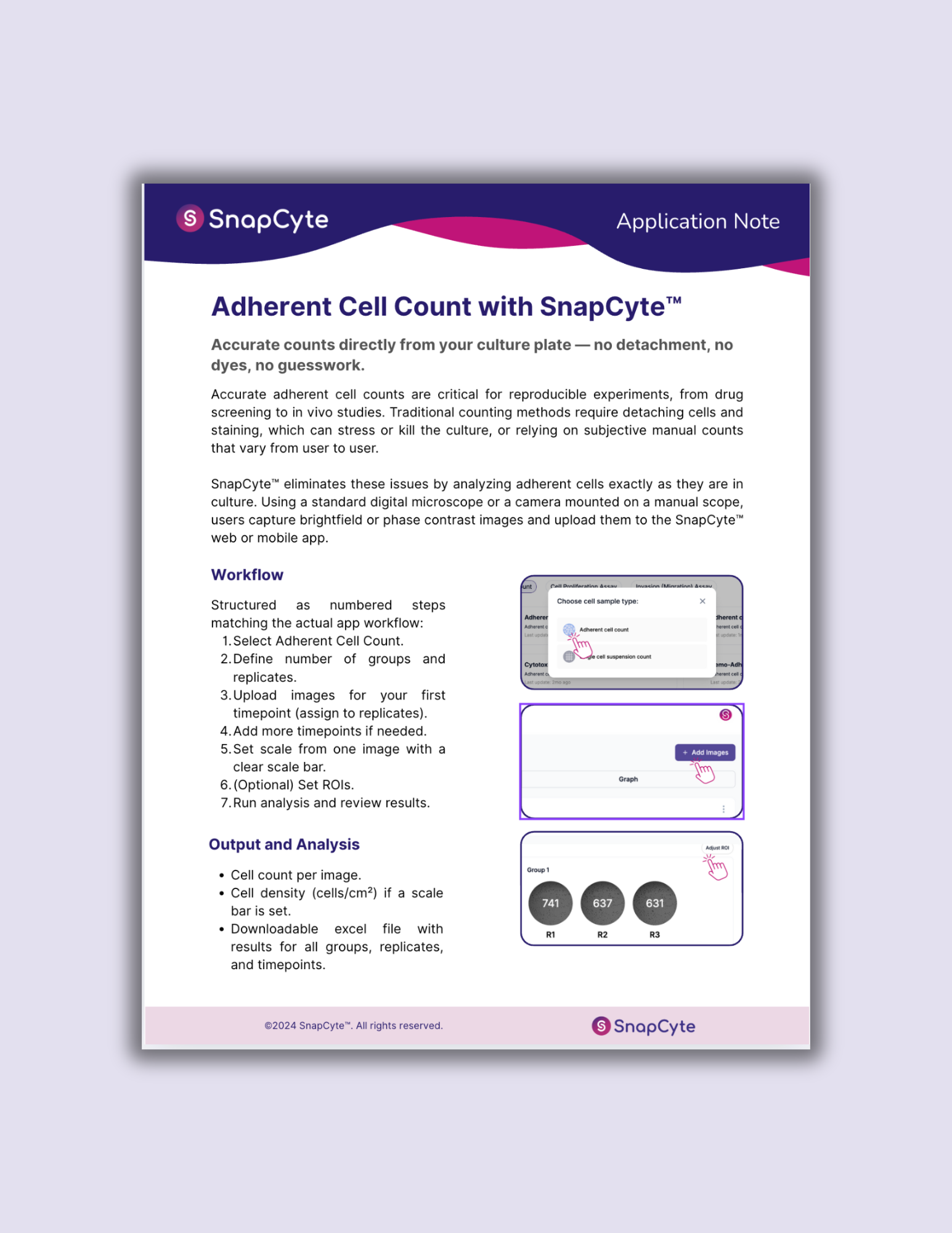 Everything you need to know about Cell Culture - SnapCyte