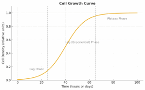 Doubling Time, Passage Number & PDL Explained