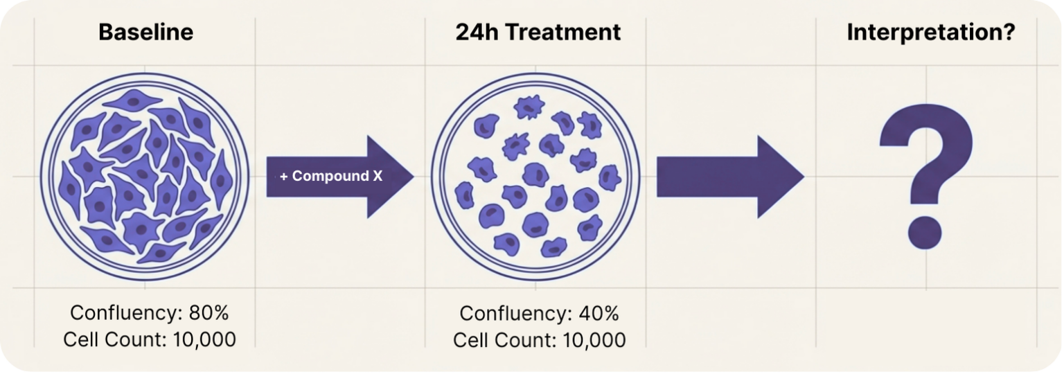 Cell Confluency Analysis – When It Works and When It Fails