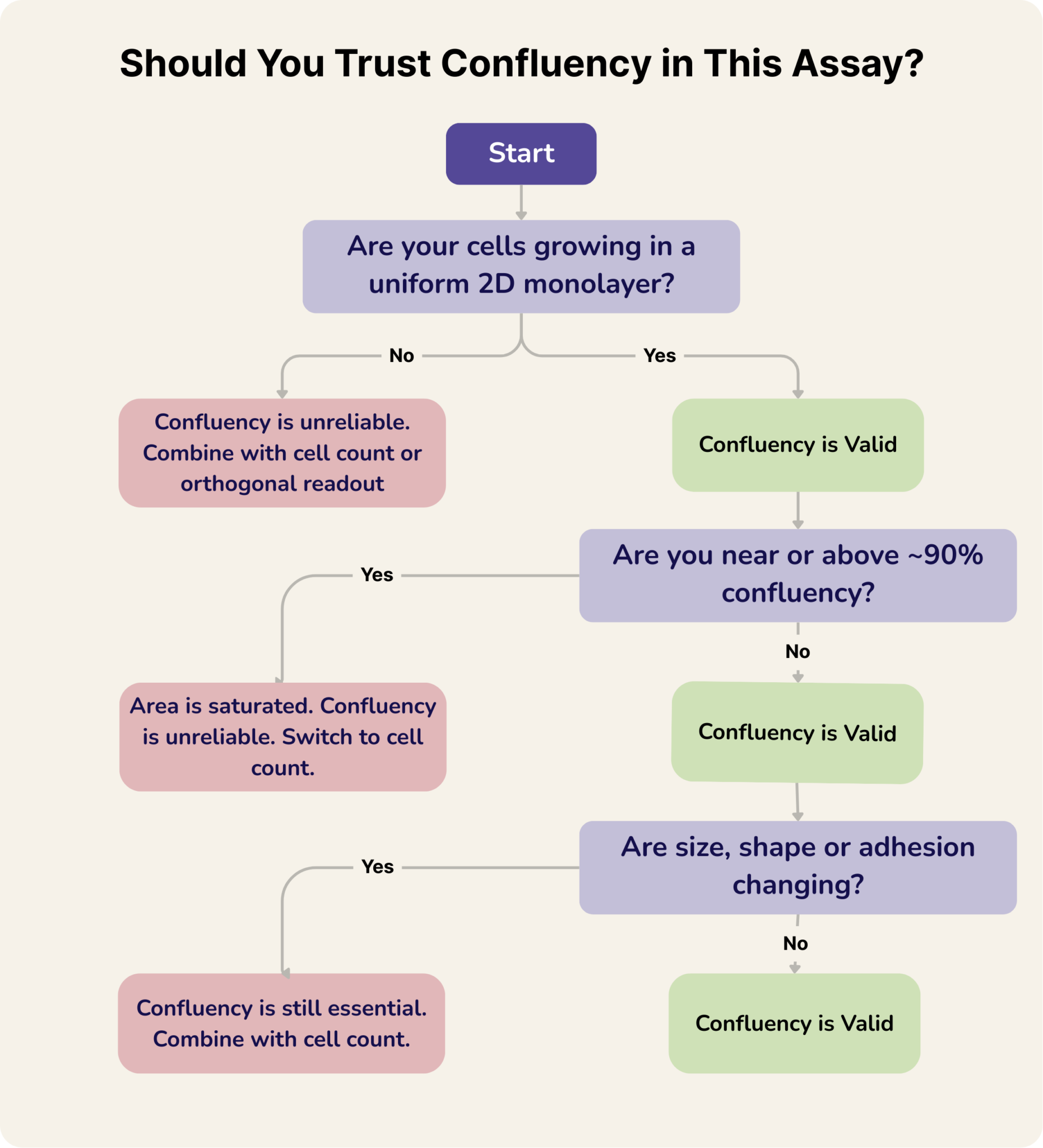 Cell Confluency Analysis – When It Works and When It Fails