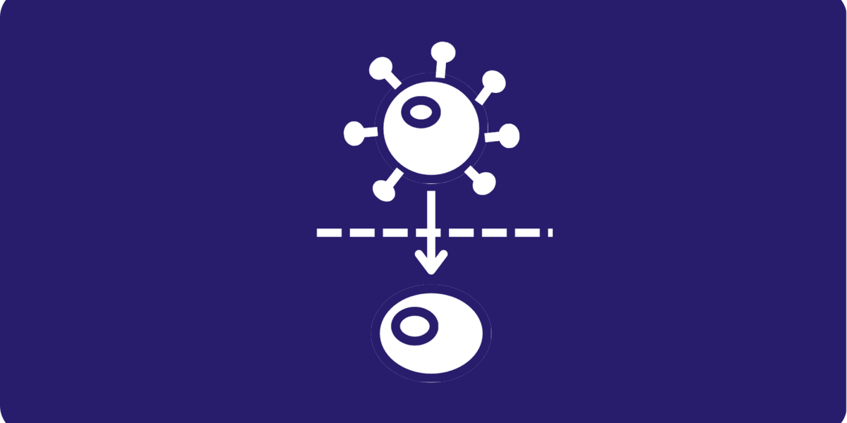 Transwell Migration and Invasion Assay - the complete breakdown - SnapCyte